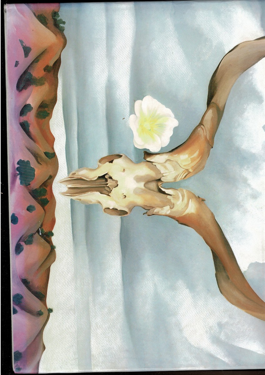 GEORGIA O'KEEFFE IN THE WEST by Bry, Doris & Callaway, Nicholas editors ...