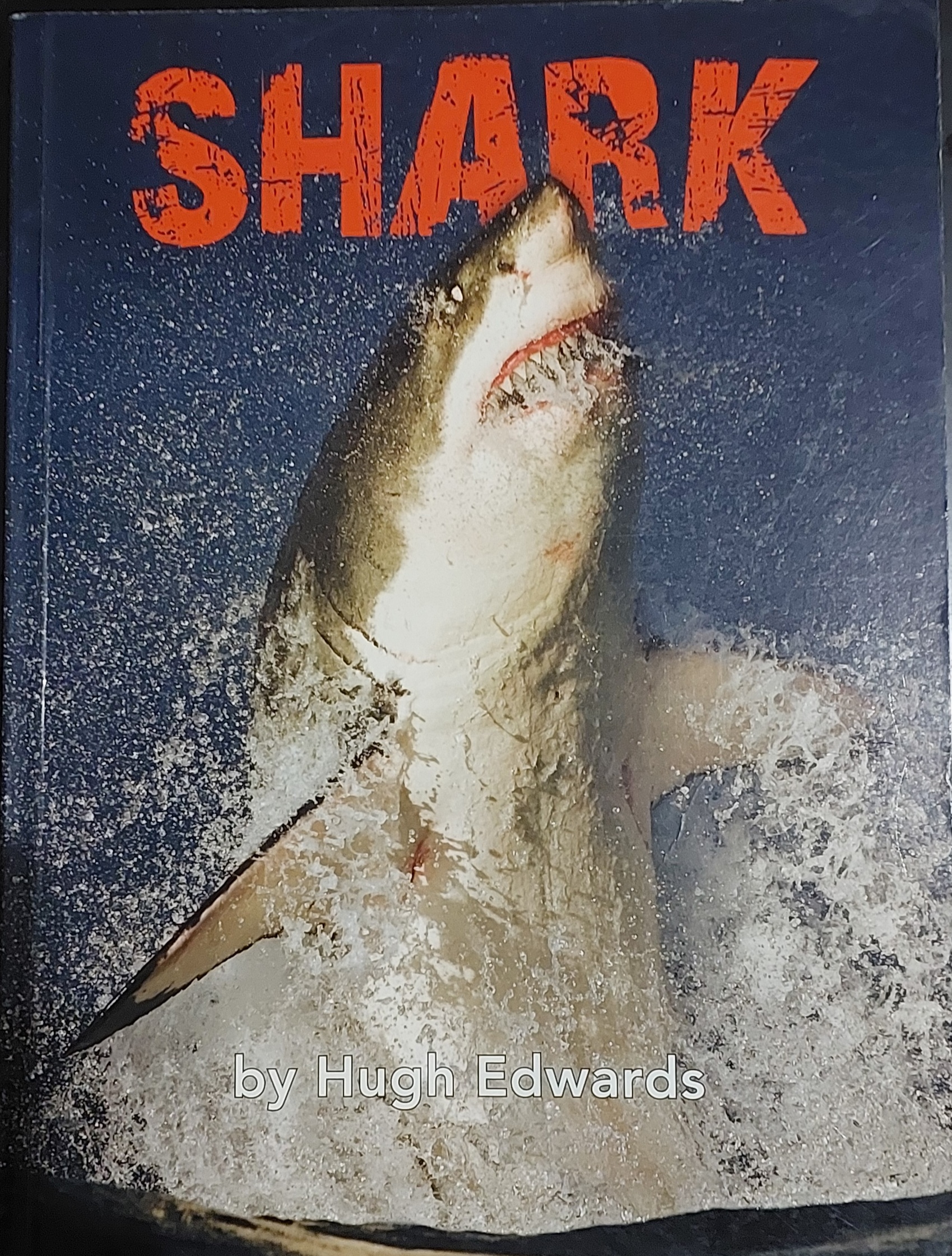 Shark by Hugh Edwards: Near Fine Soft cover (2012) 1st Edition ...