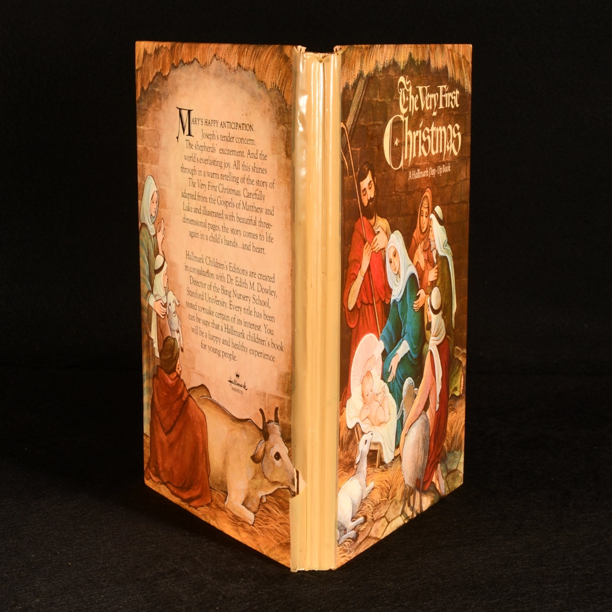The Very First Christmas: The Story of the Nativity Adapted From the ...