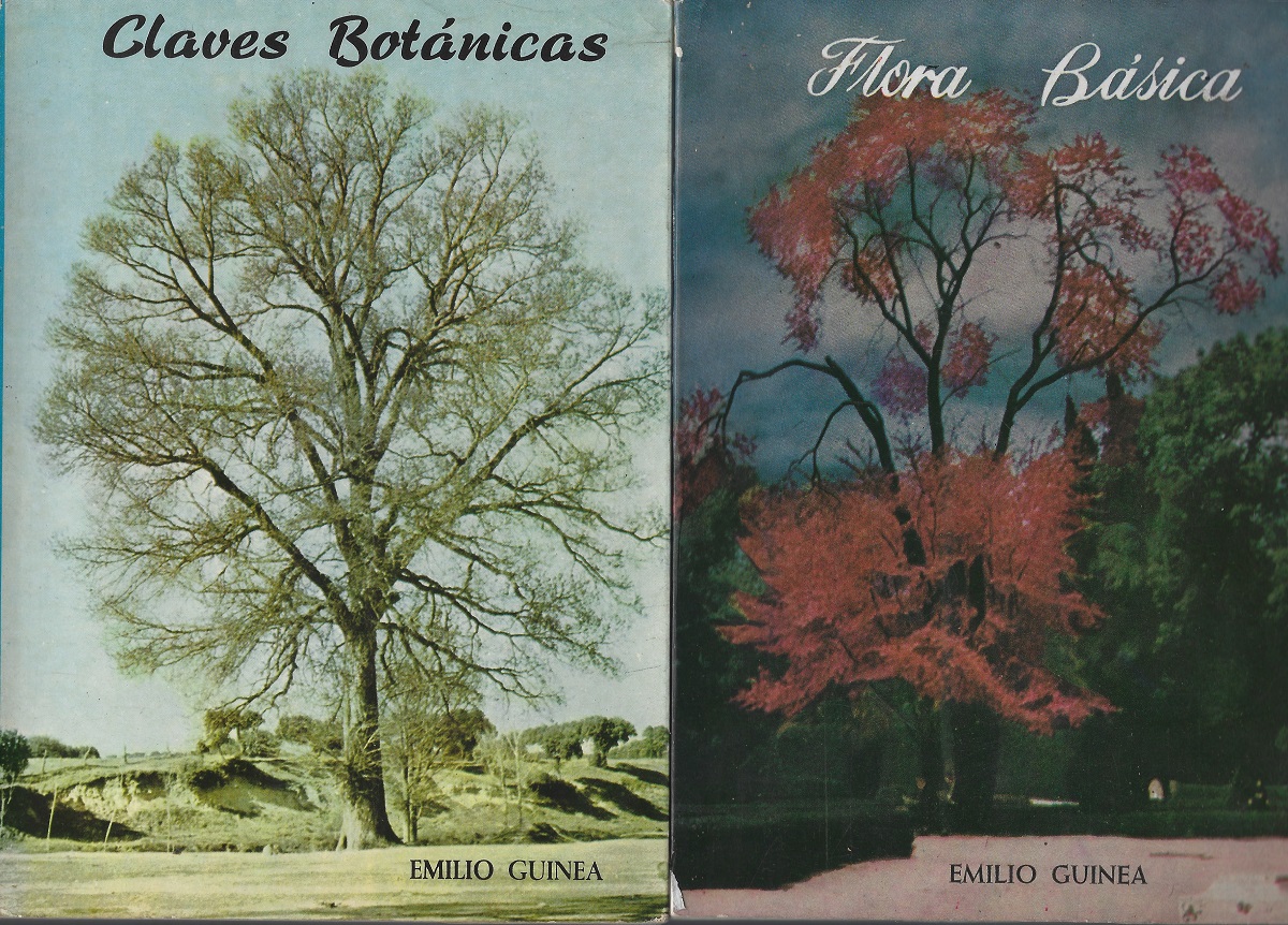 Flora Basica- descripcion sucinta e iconographia esqematica de las ...