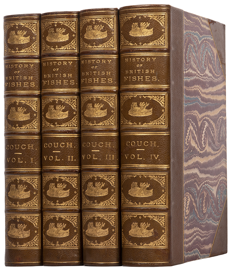 A History of the Fishes of the British Islands. by COUCH, Jonathan ...