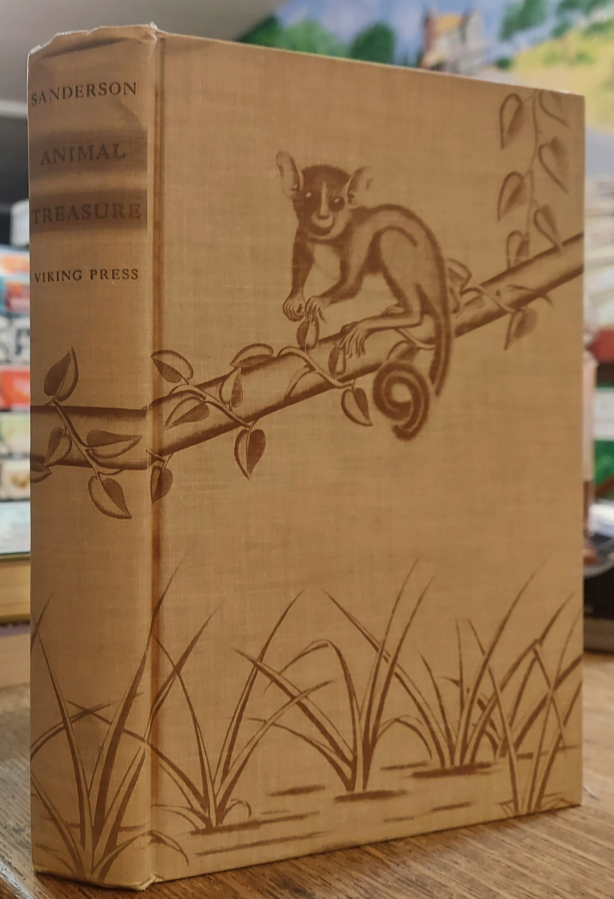 Animal Treasure by Sanderson, Ivan T.: Very Good Hard Cover (1937 ...