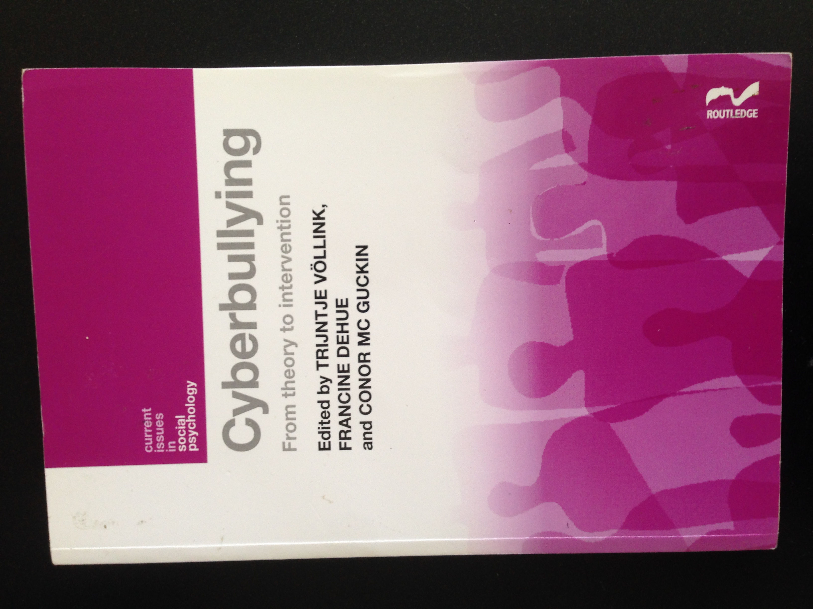 Cyberbullying: From Theory to Intervention (Current Issues in Social ...