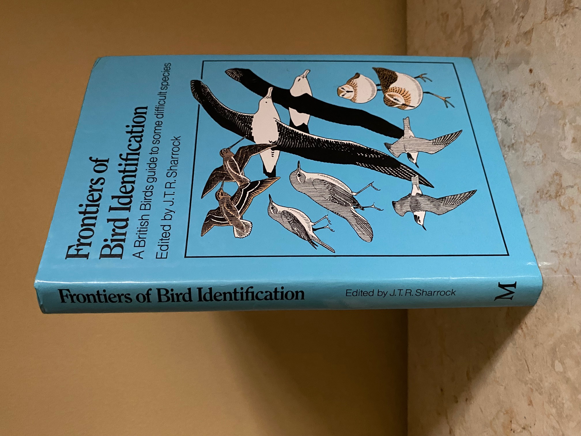 Frontiers of Bird Identification | A British Birds Guide to Some ...