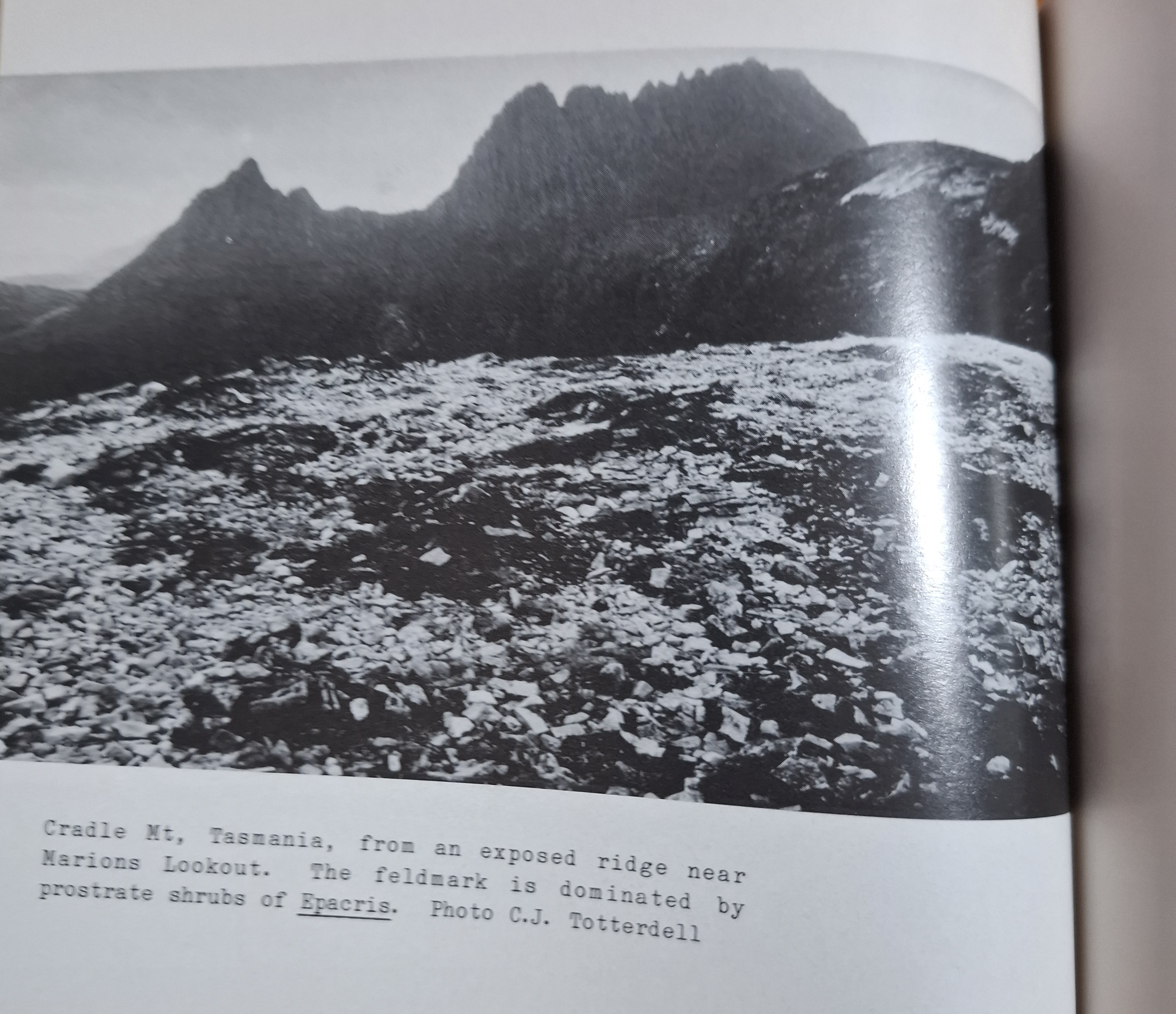 FLORA AND FAUNA OF ALPINE AUSTRALASIA: Ages and origins by BARLOW ...