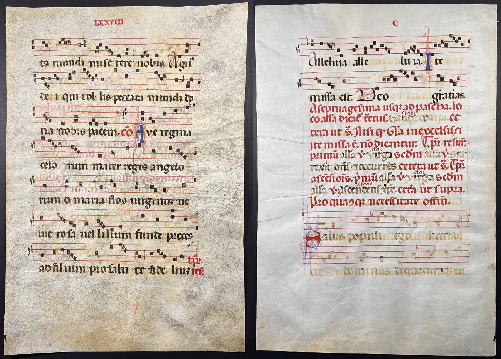 Large folio vellum sheet with several hand painted initial-letters. Out ...