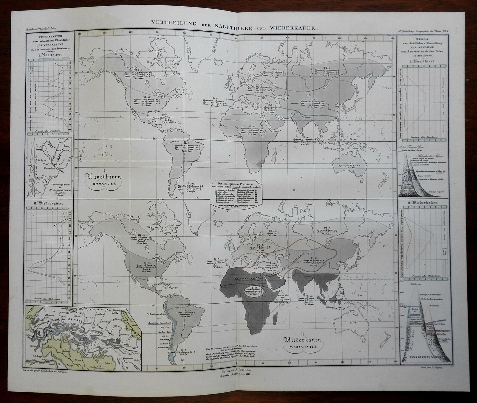 Rodents and Ruminating Mammals of the World Cattle Sheep Goats 1851 ...