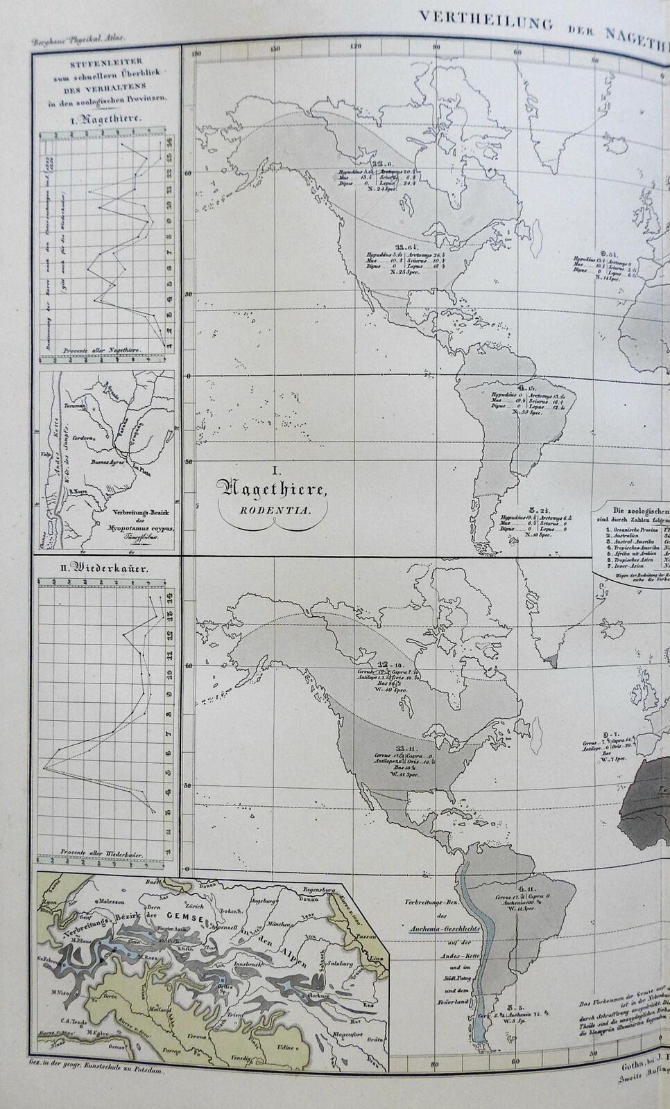 Rodents and Ruminating Mammals of the World Cattle Sheep Goats 1851 ...