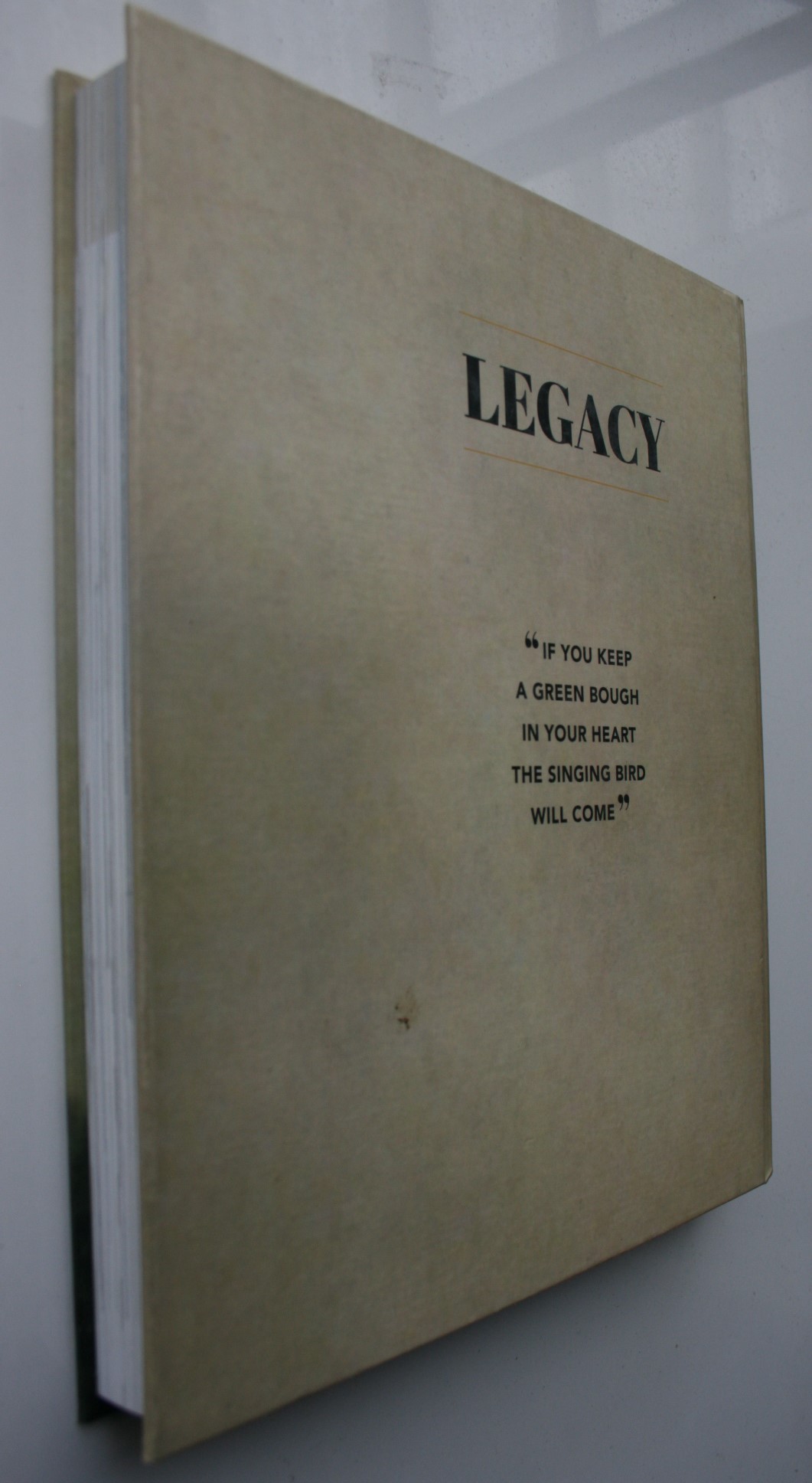 Legacy (South Island biography, 1950's -1980's farmer) by Bruce Pugh ...