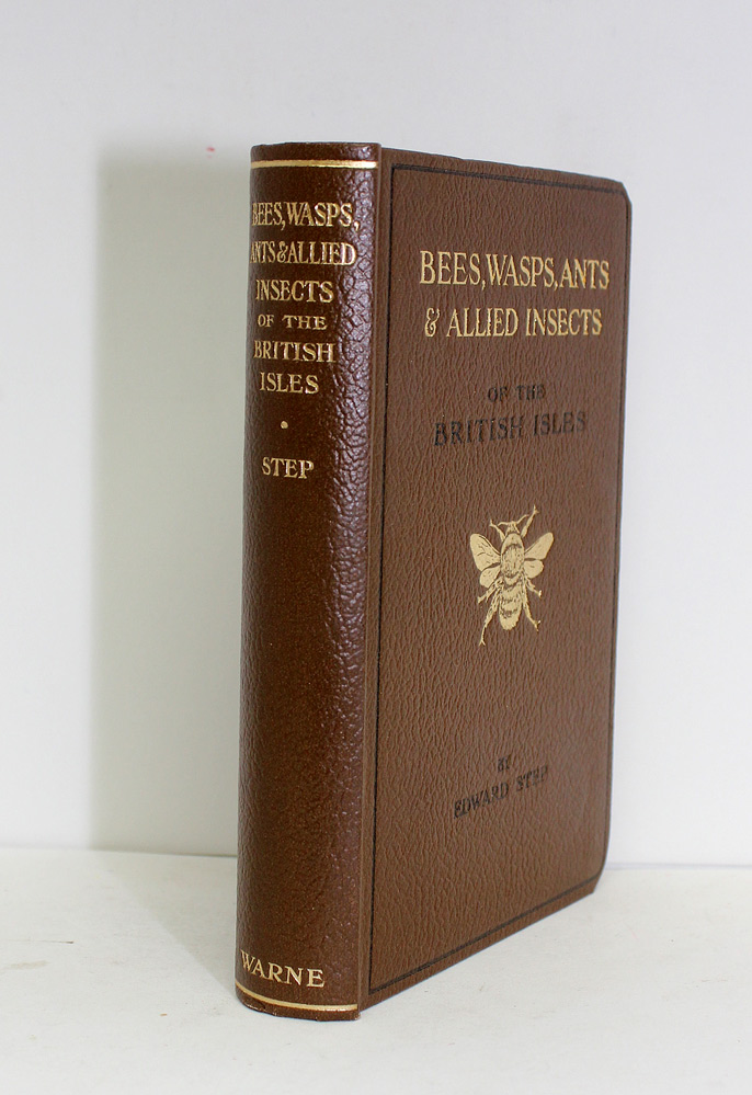 Bees, Wasps, Ants and Allied Insects of the British Isles by Edward ...