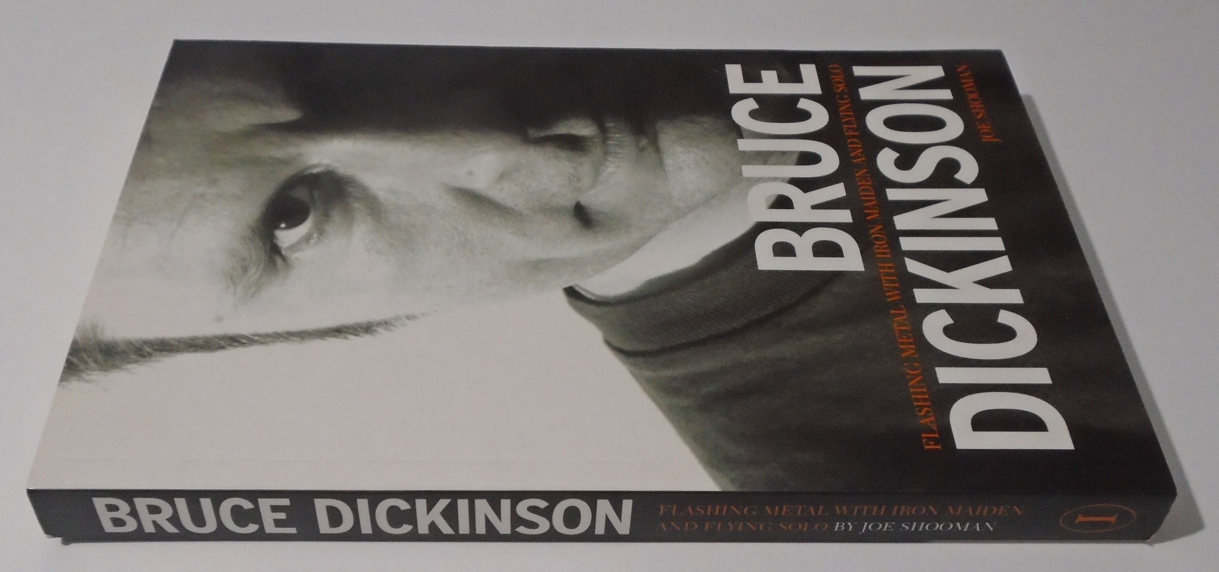 Bruce Dickinson: Flashing Metal with Maiden and Flying Solo by Joe ...