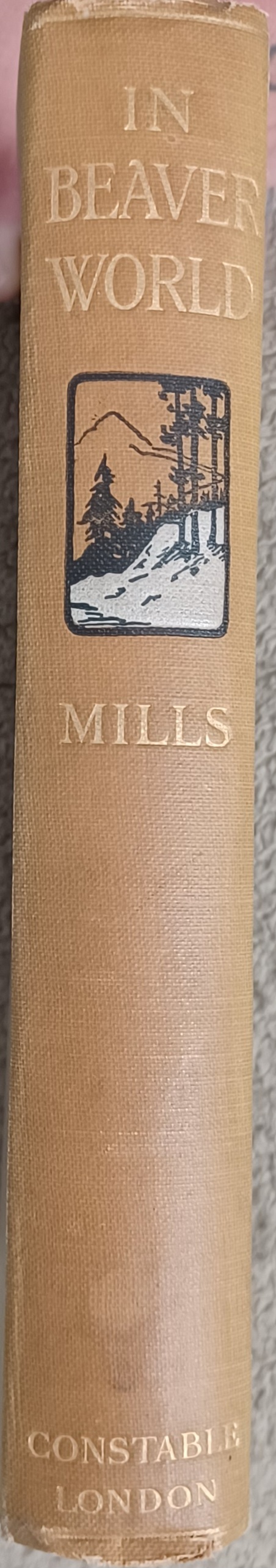 In Beaver World by Enos Mills: Very Good Hardcover (1913) 1st Edition ...