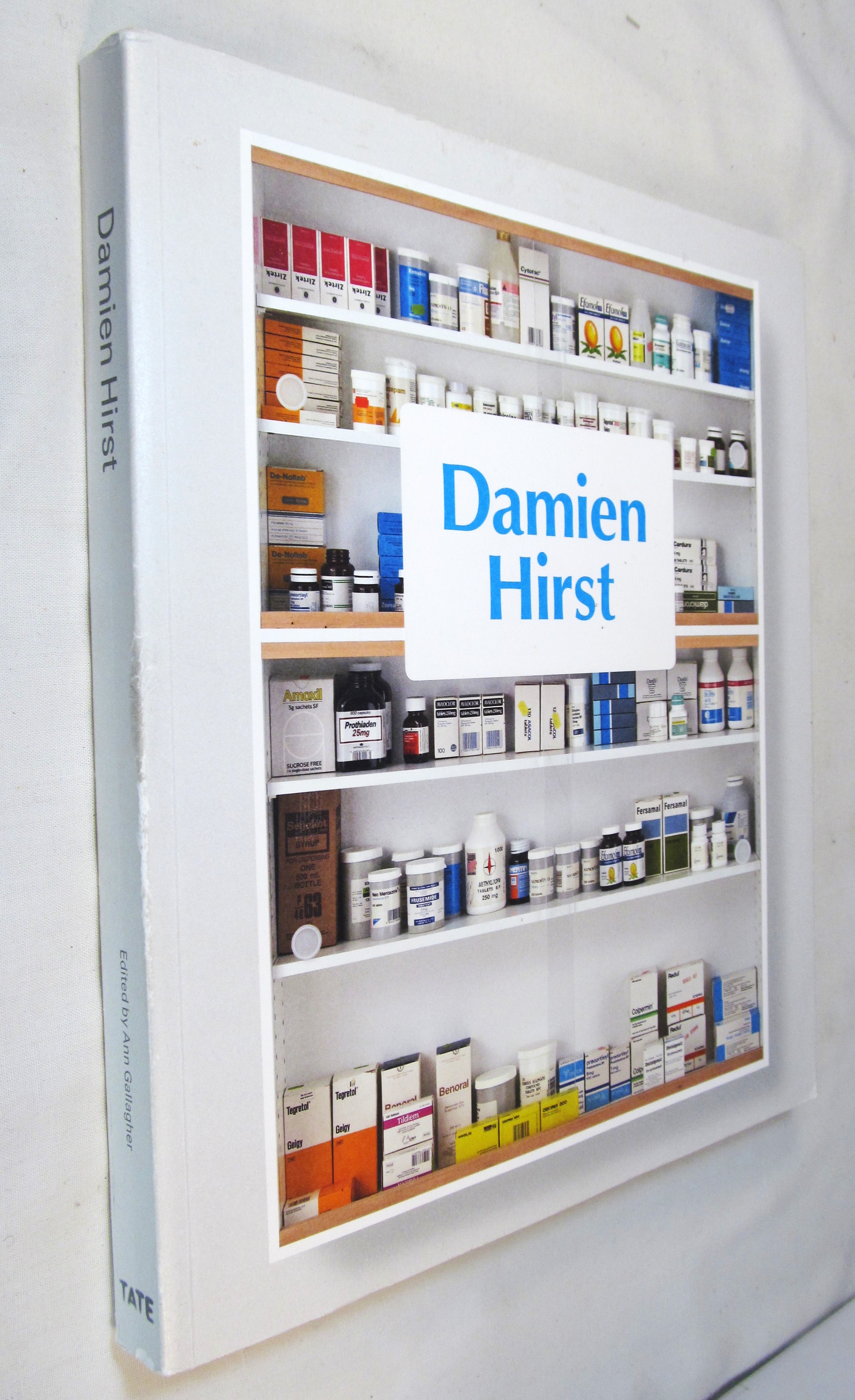Damien Hirst by Gallagher, Ann Editor: Near Fine Soft cover (2012) 1st ...