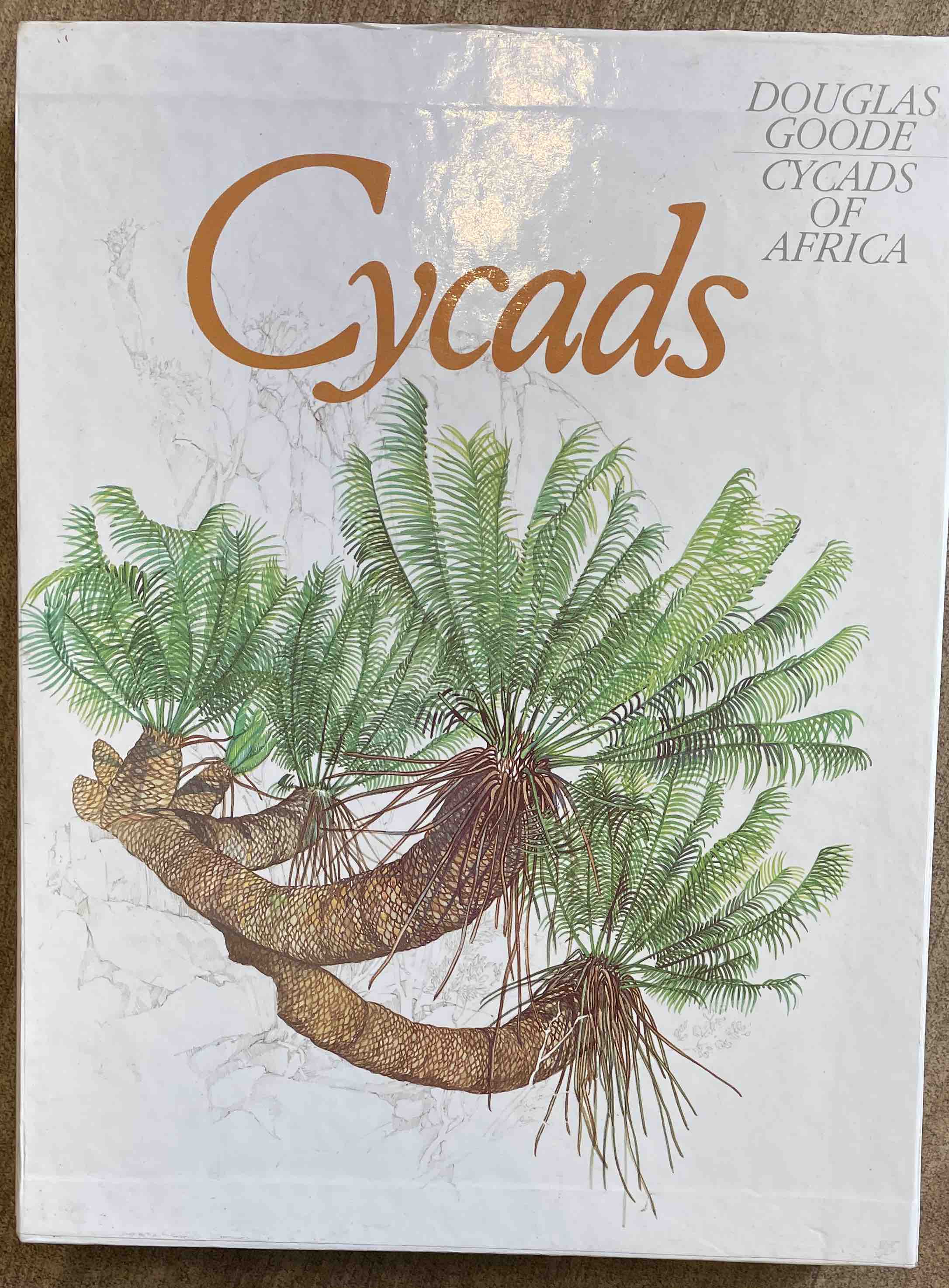 Cycads of Africa by Douglas Goode | Holybourne Rare Books ABA ILAB