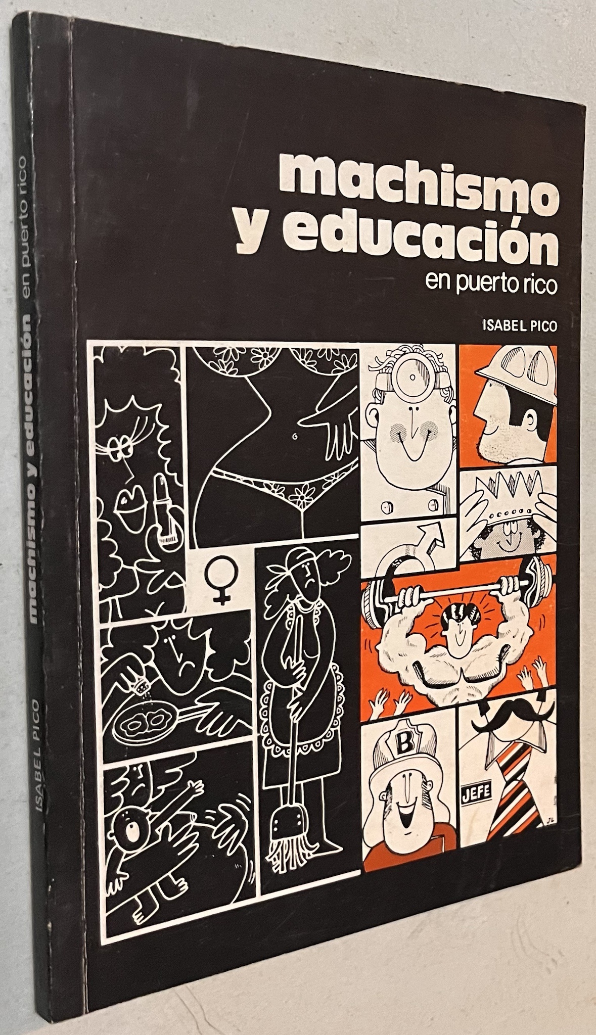 Machismo y Educacion en Puerto Rico by Isabel Pico: Good Softcover ...