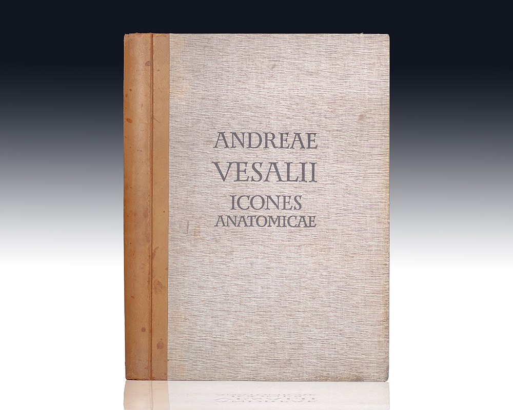 Andreae Vesalii Bruxellensis Icones Anatomicae. by Vesalius, Andreas ...