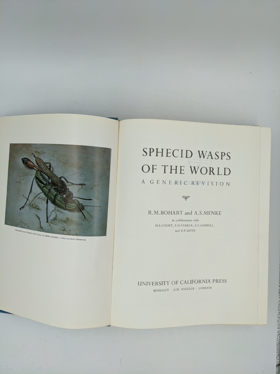 Sphecid Wasps of the World. A Generic Revision. by Bohart, R. M. and A ...