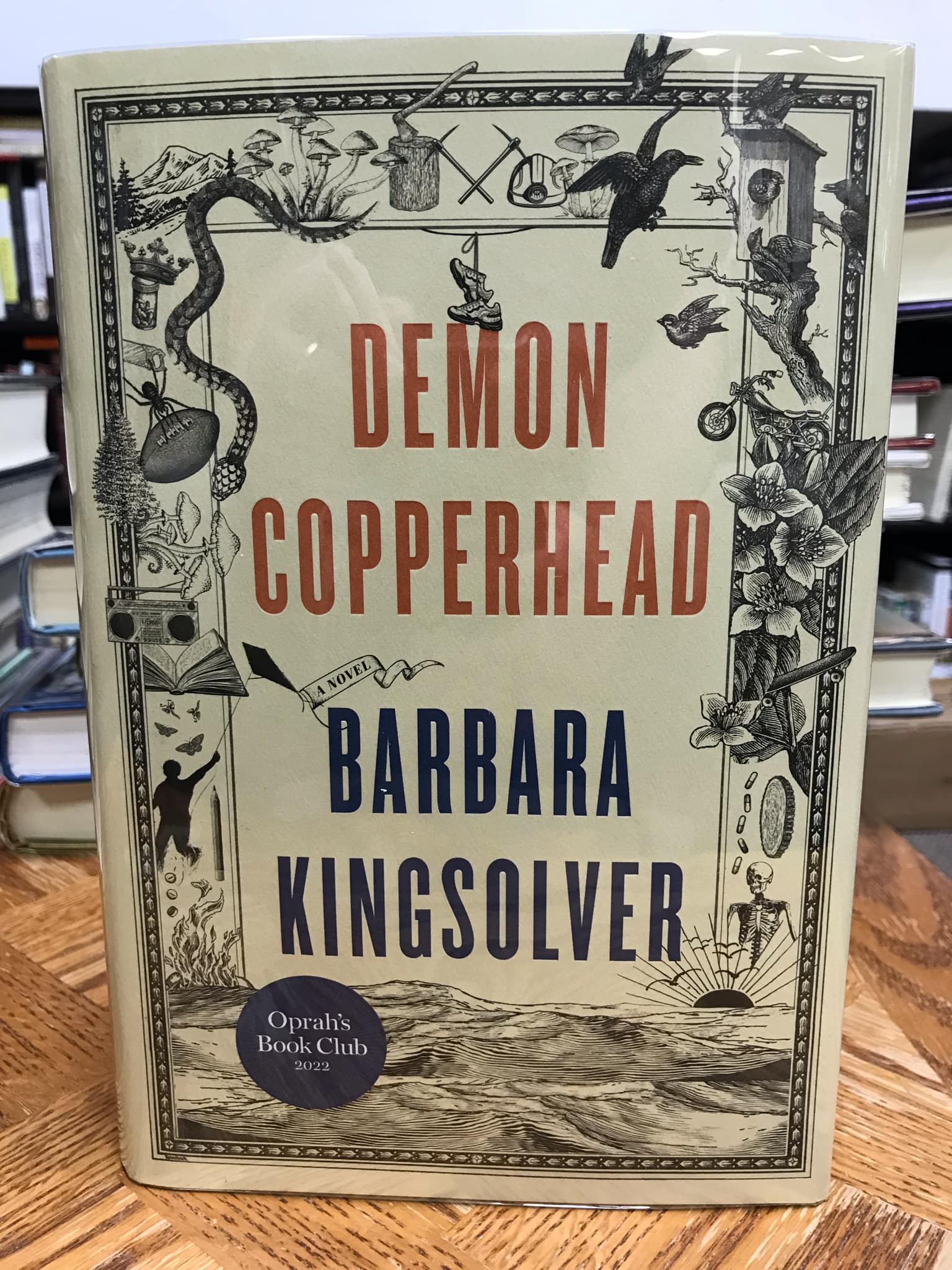 Demon Copperhead by Kingsolver, Barbara: NF Hard Cover (2022) First ...