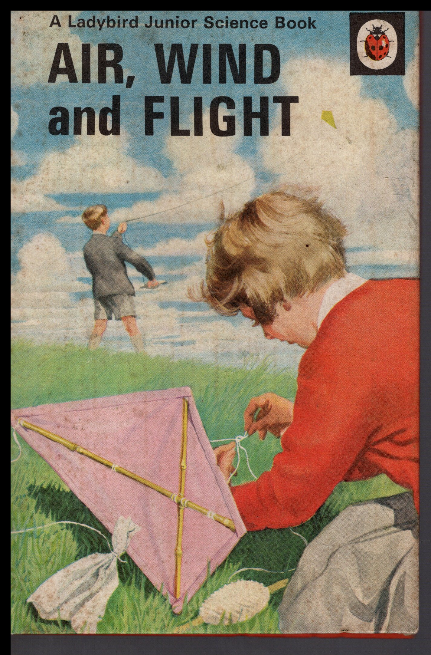 The Ladybird Book Series :Air, Wind and Flight by F.E. Newing; Richard Bowood 1963 by F.E ...
