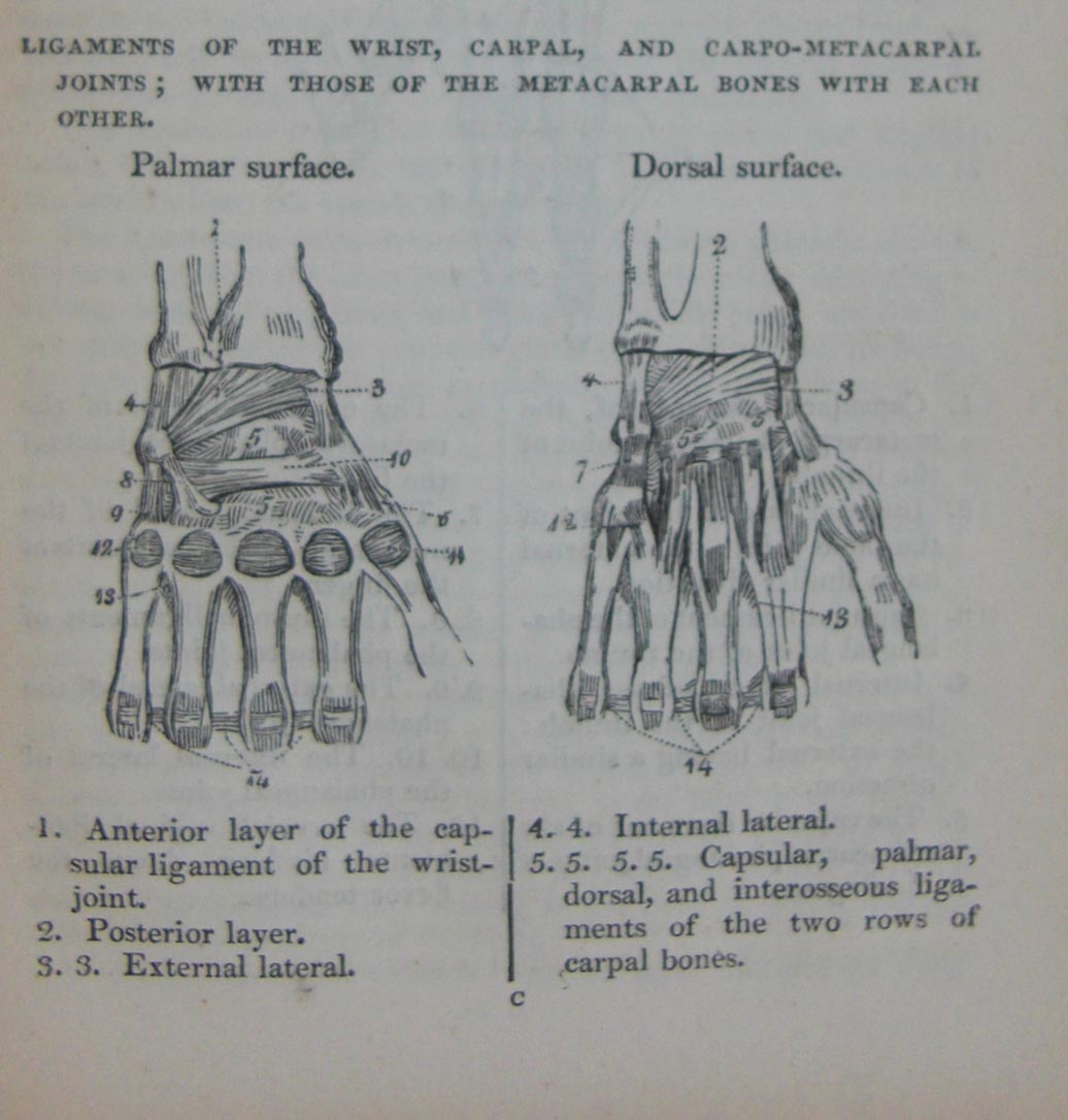 COMPENDIUM OF THE LIGAMENTS; Illustrated by woodcuts. With the ...