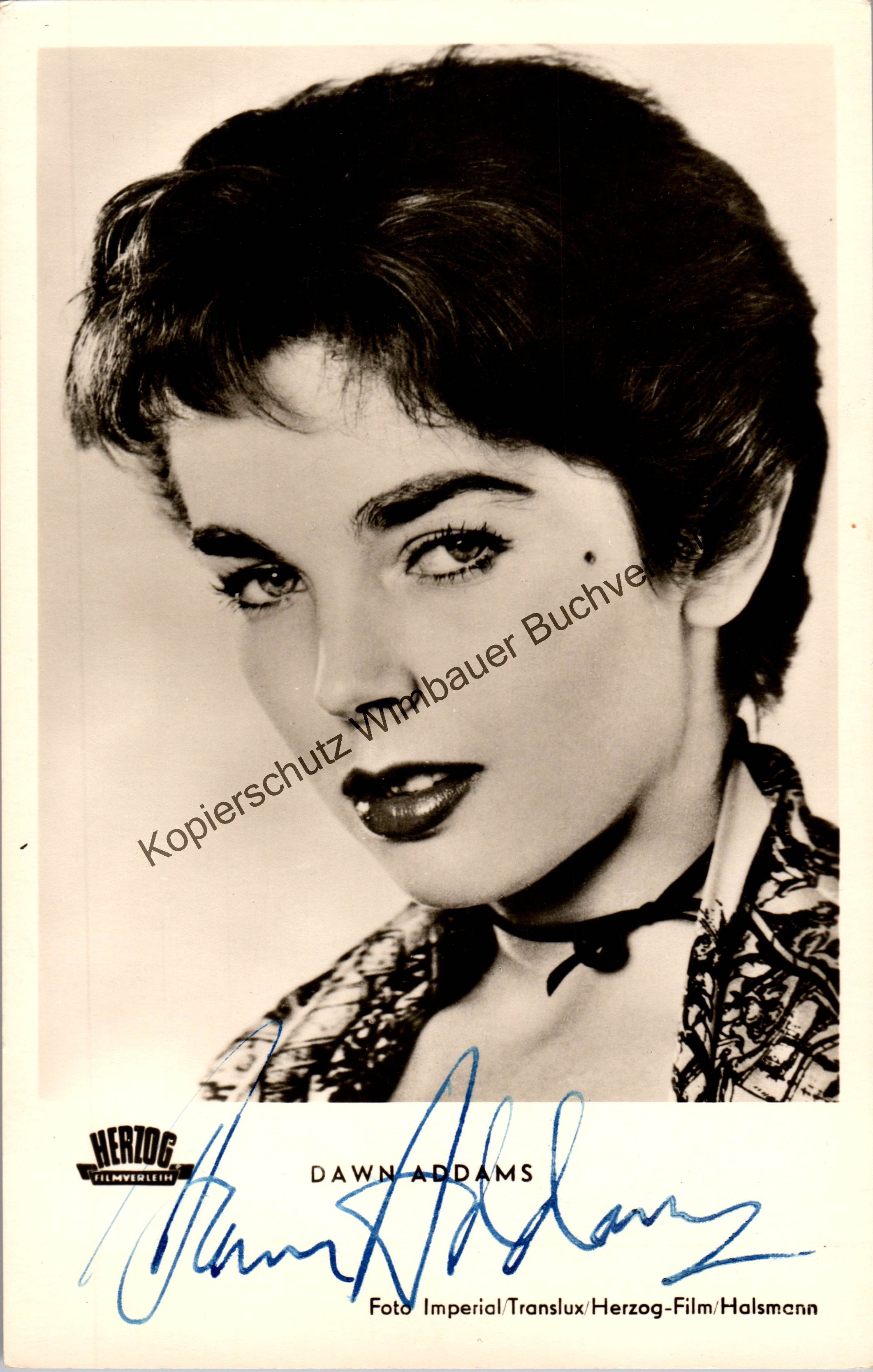 Original Autogramm Dawn Addams (1930-1985) /// Autograph signiert ...