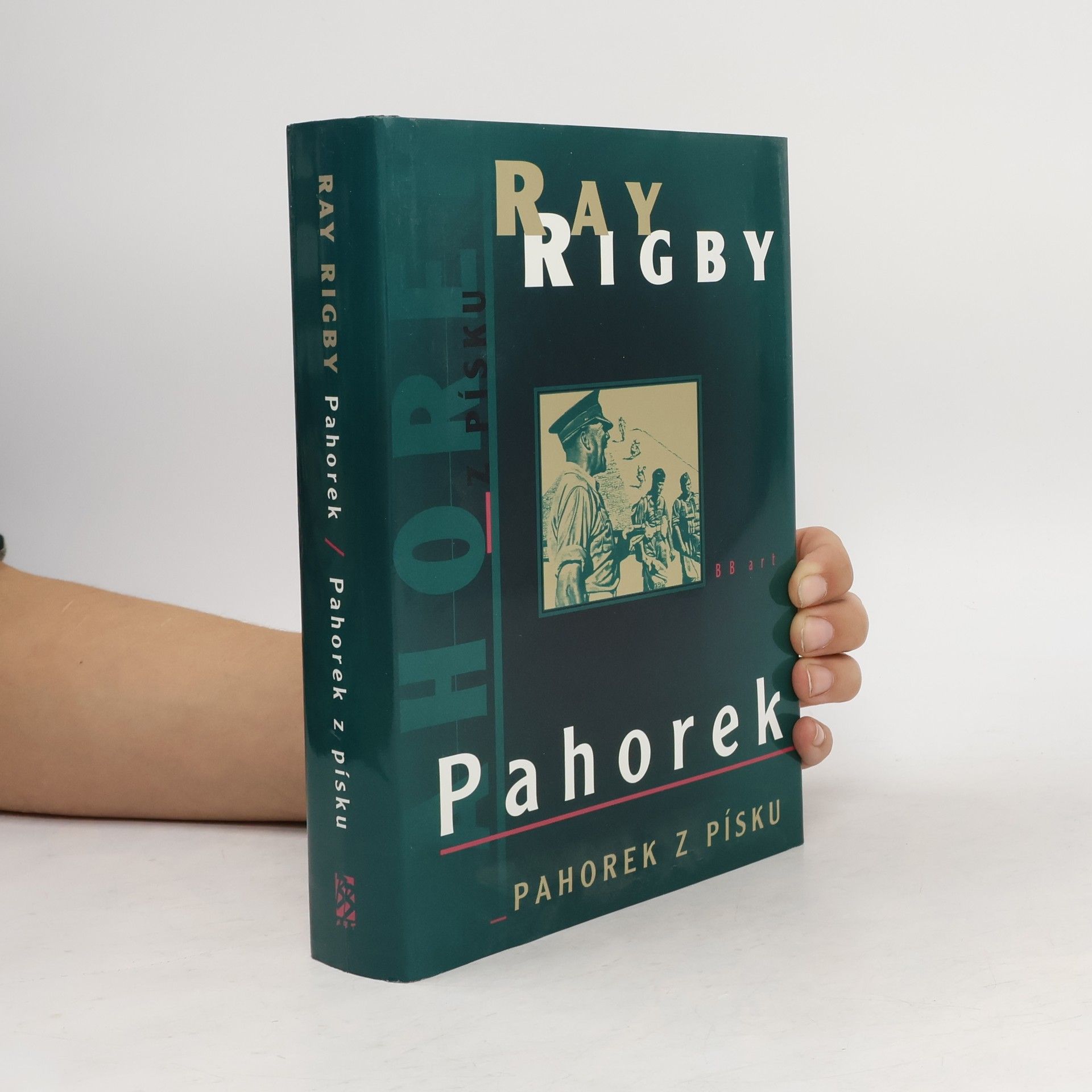 Pahorek. Pahorek z písku von Ray Rigby: Fine (1999) | Bookbot