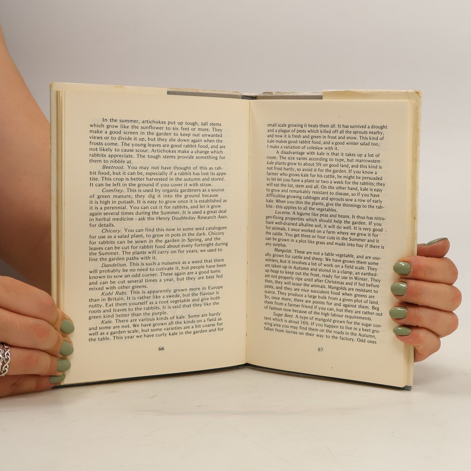 Backyard. Rabbit Farming by Ann Williams: Poor | Bookbot