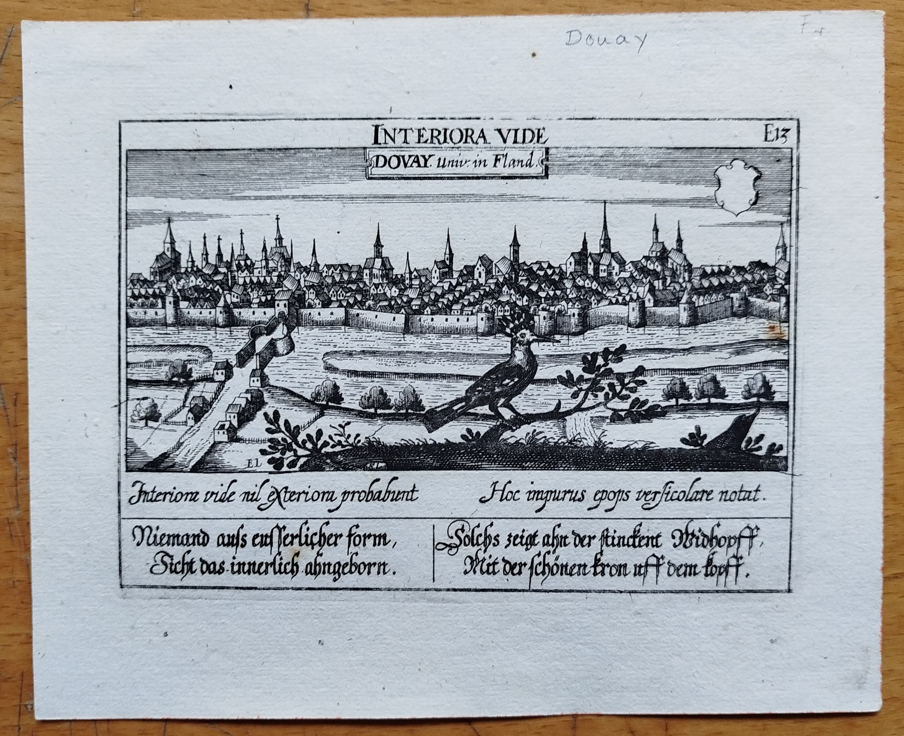 Douay - Original Engraving Daniel Meisner Thesaurus Philopoliticus ...