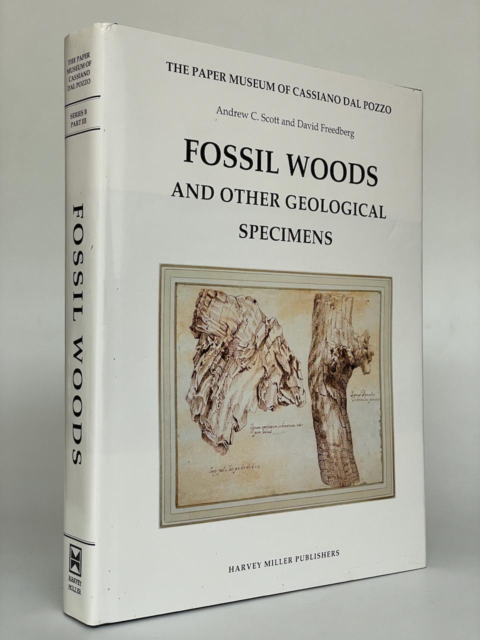 Fossil Woods and other geological specimens The Paper Museum of ...