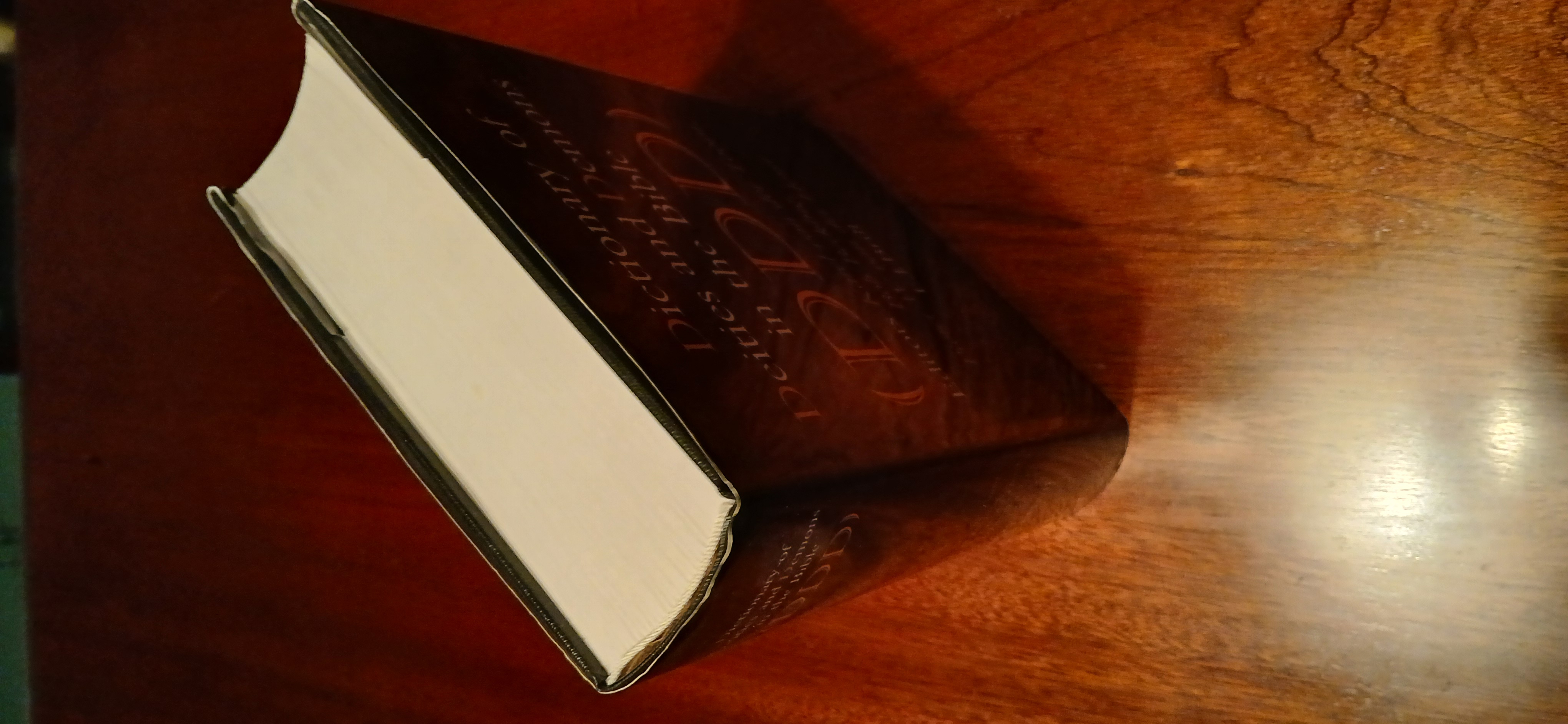 Dictionary of Deities and Demons in the Bible by Van Der Toorn (Editor ...