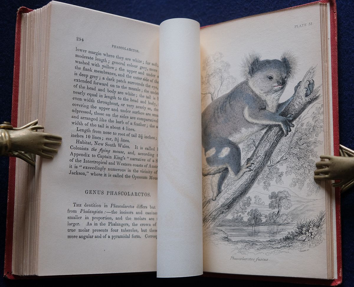 MAMMALIA- THE COMPLETE SET OF 13 VOLUMES OF MAMMALIA- MAMMALS- (THE ...