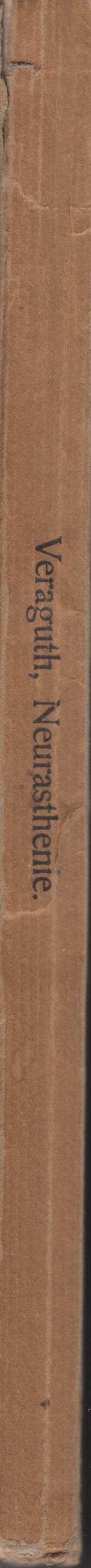 Neurasthenie. Eine Skizze. by Veraguth, Otto: Très bon Couverture ...