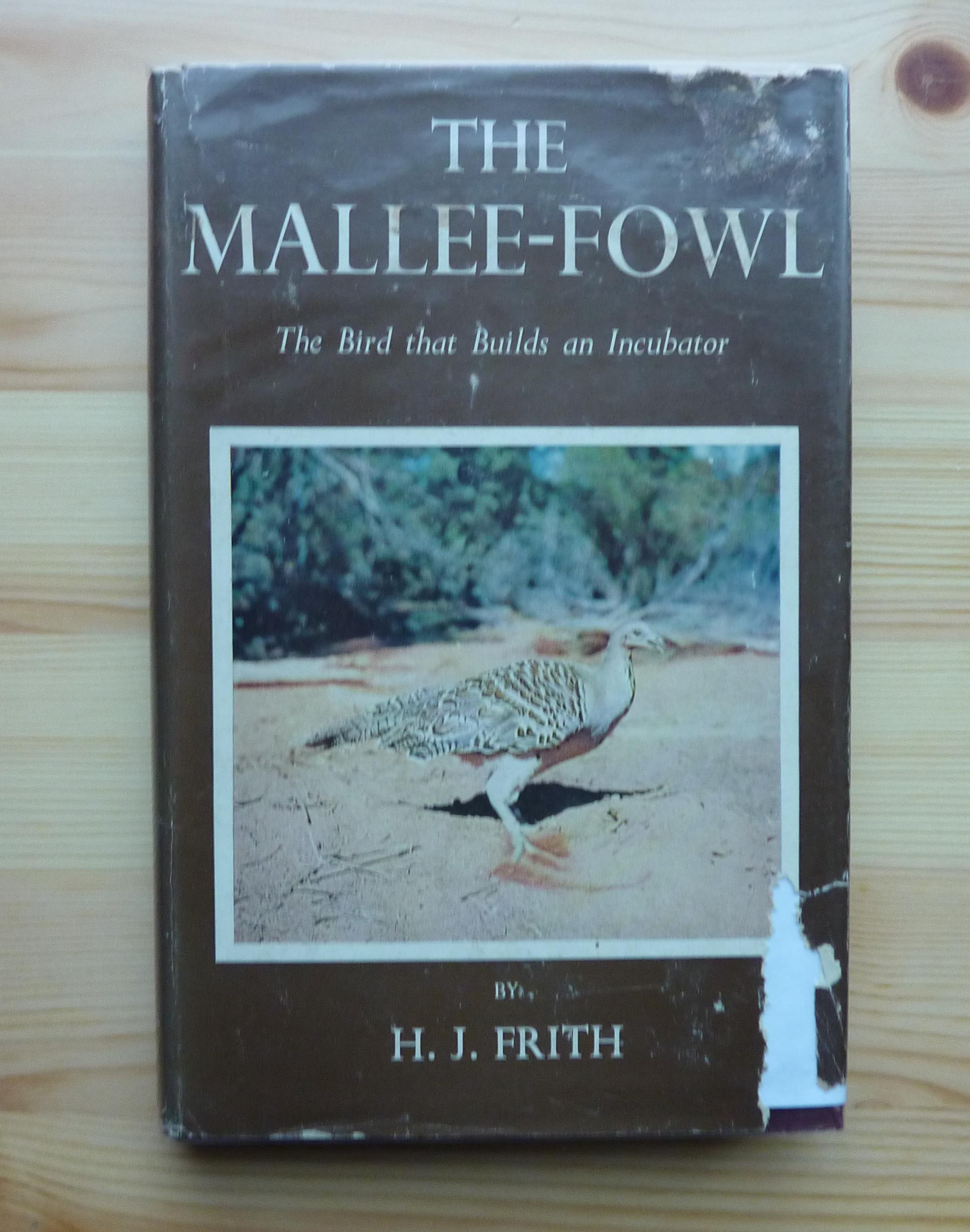 The Mallee-Fowl: The Bird the Builds an Incubator by Frith, HJ: Very ...