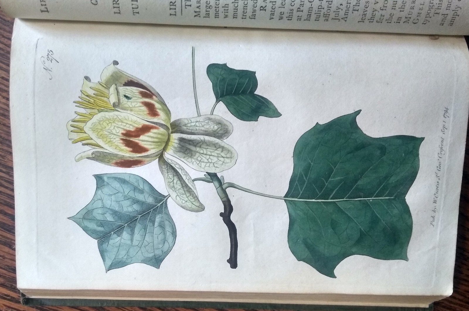 Volumes 1-8 of The Botanical Magazine; or, Flower-Garden Displayed ...