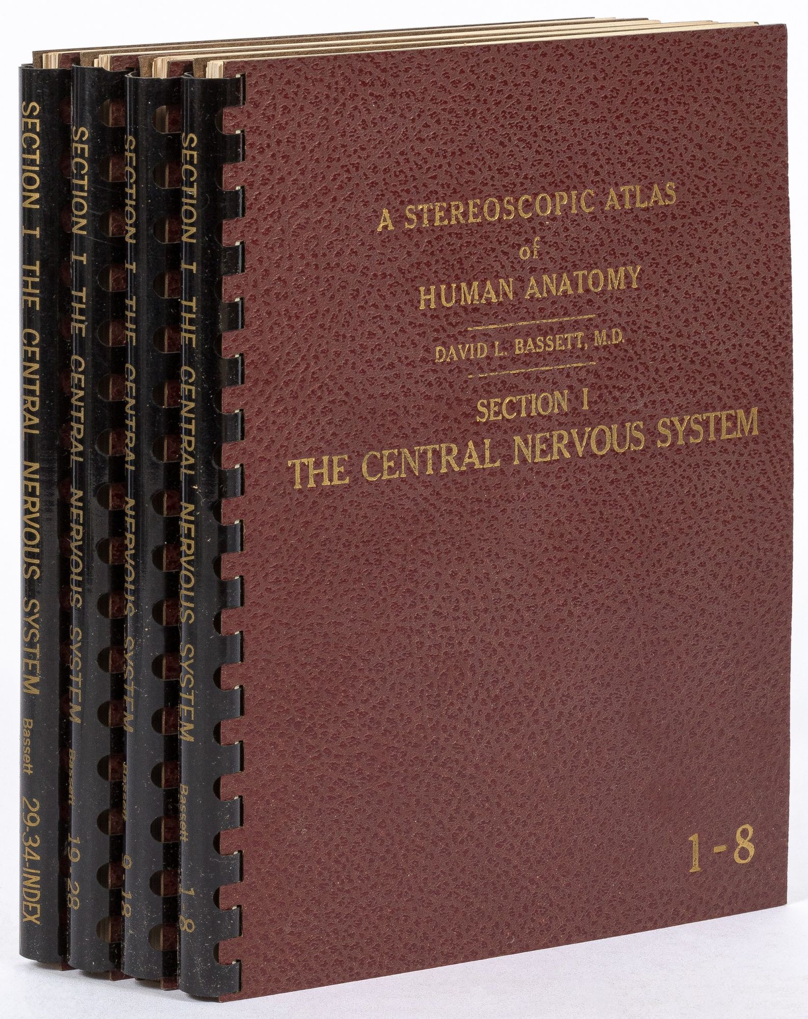 A Stereoscopic Atlas of Human Anatomy: Section 1, The Central Nervous ...