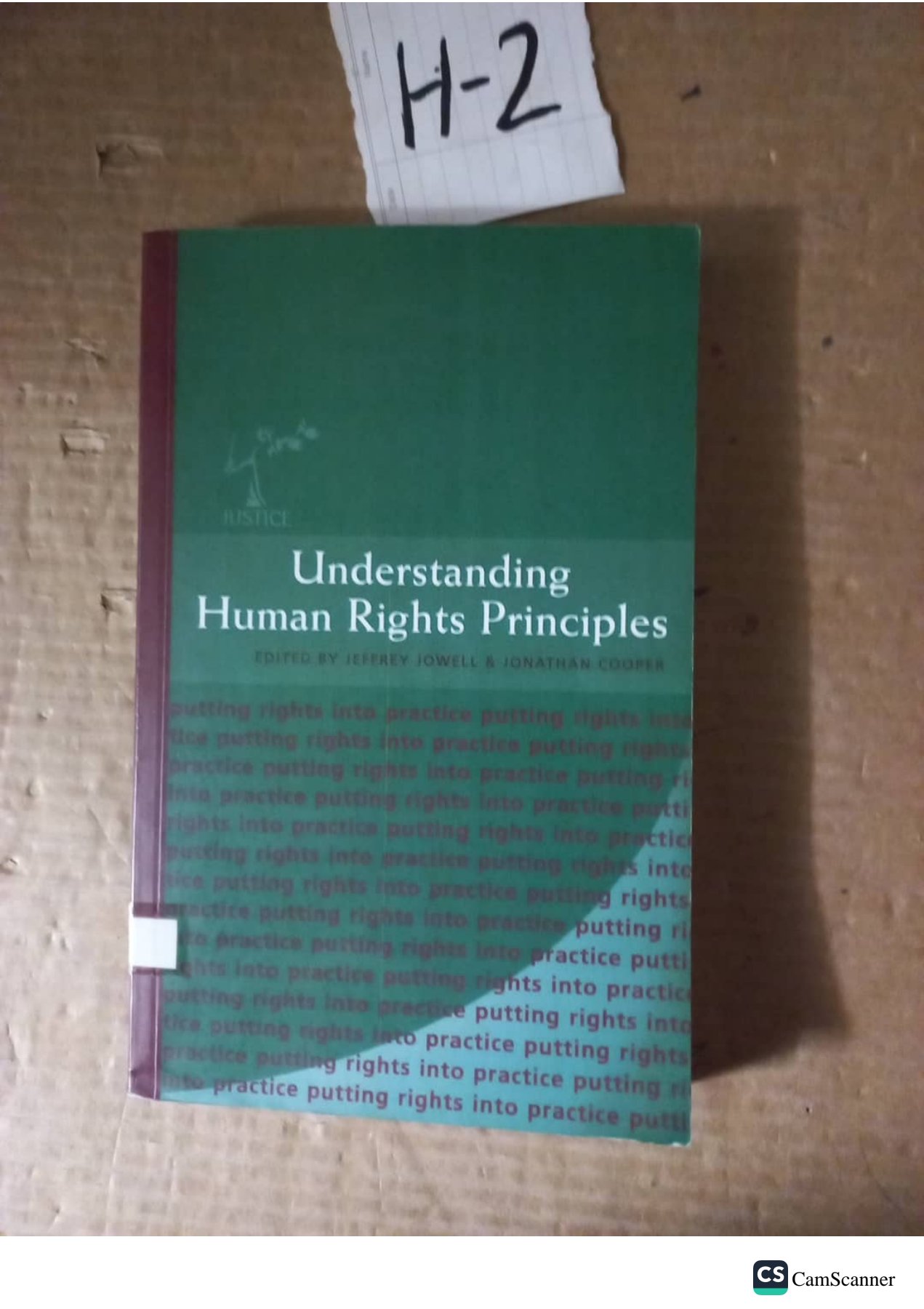 Understanding Human Rights Principles: Very Good Soft cover | UK LAW ...