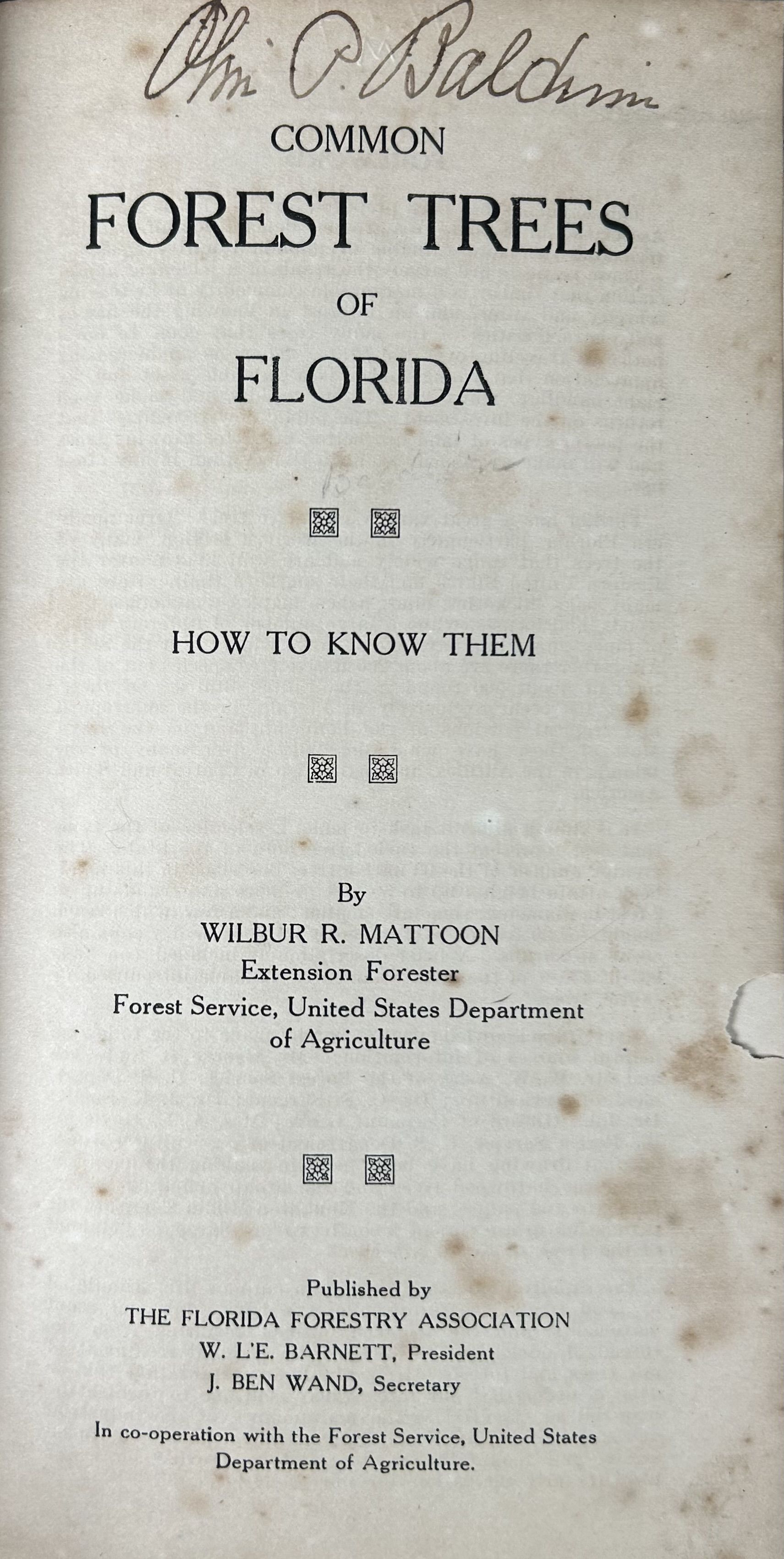 Common Forest Trees of Florida: How to Know Them [A Pocket Manual] by ...