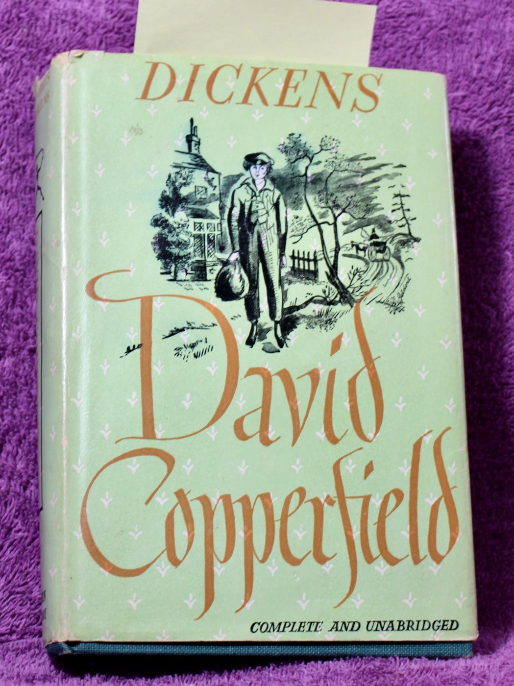 THE PERSONAL HISTORY, ADVENTURES, EXPERIENCE & OBSERVATION OF DAVID ...
