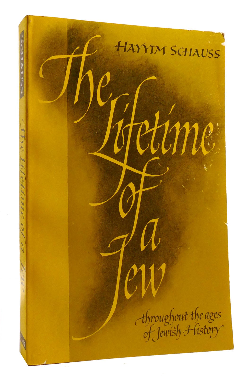 THE LIFETIME OF A JEW Throughout the Ages of Jewish History by Hayyim ...