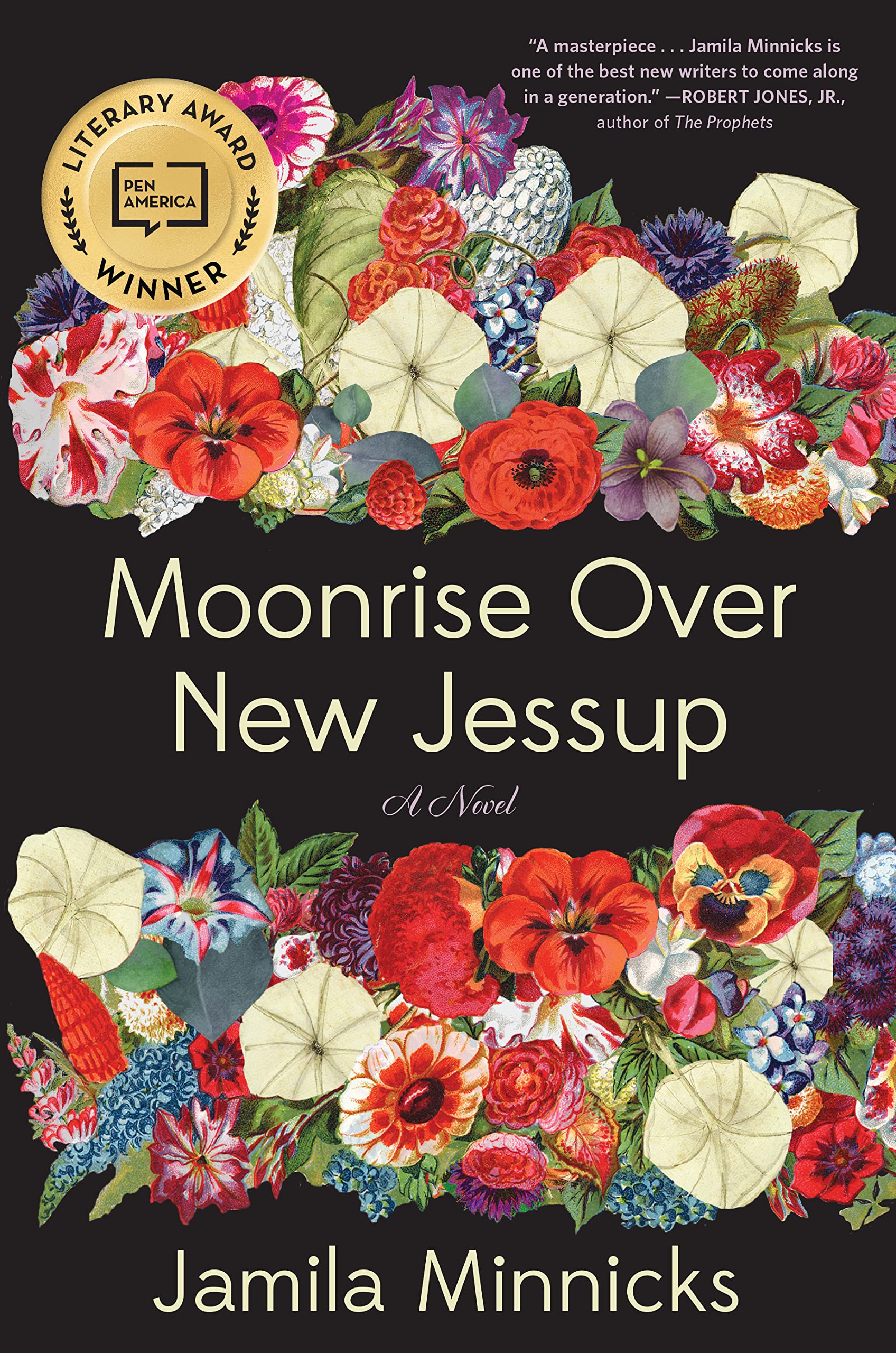Moonrise Over New Jessup: A Novel by Minnicks, Jamila: acceptable (2023 ...