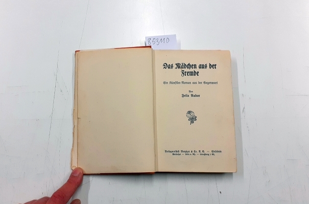 Das Mädchen aus der Fremde. Ein Künstler-Roman us der Gegenwart von ...