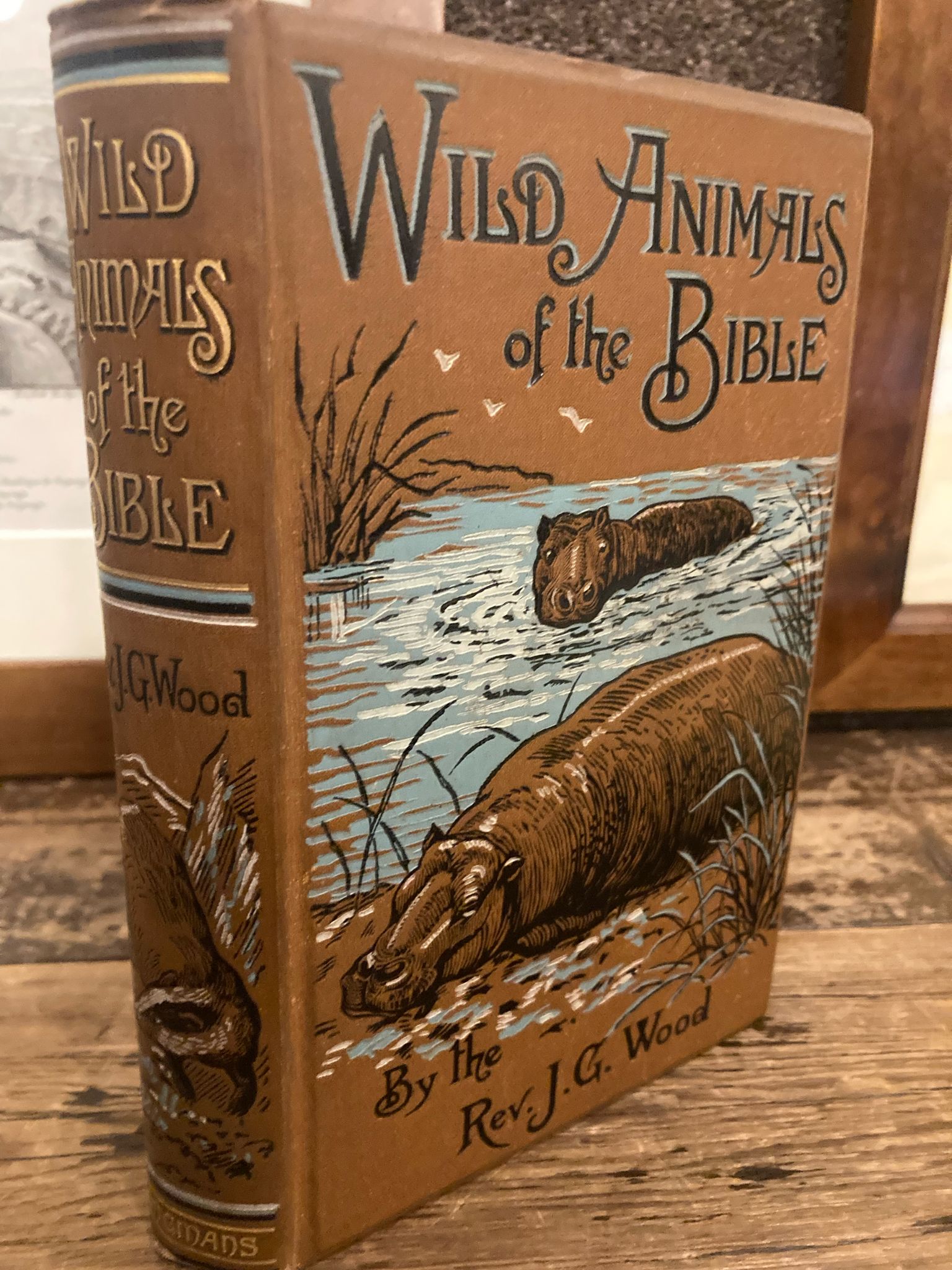 Wild animals of the Bible by Wood J. G. Rev.: (1887) | Gilibert ...