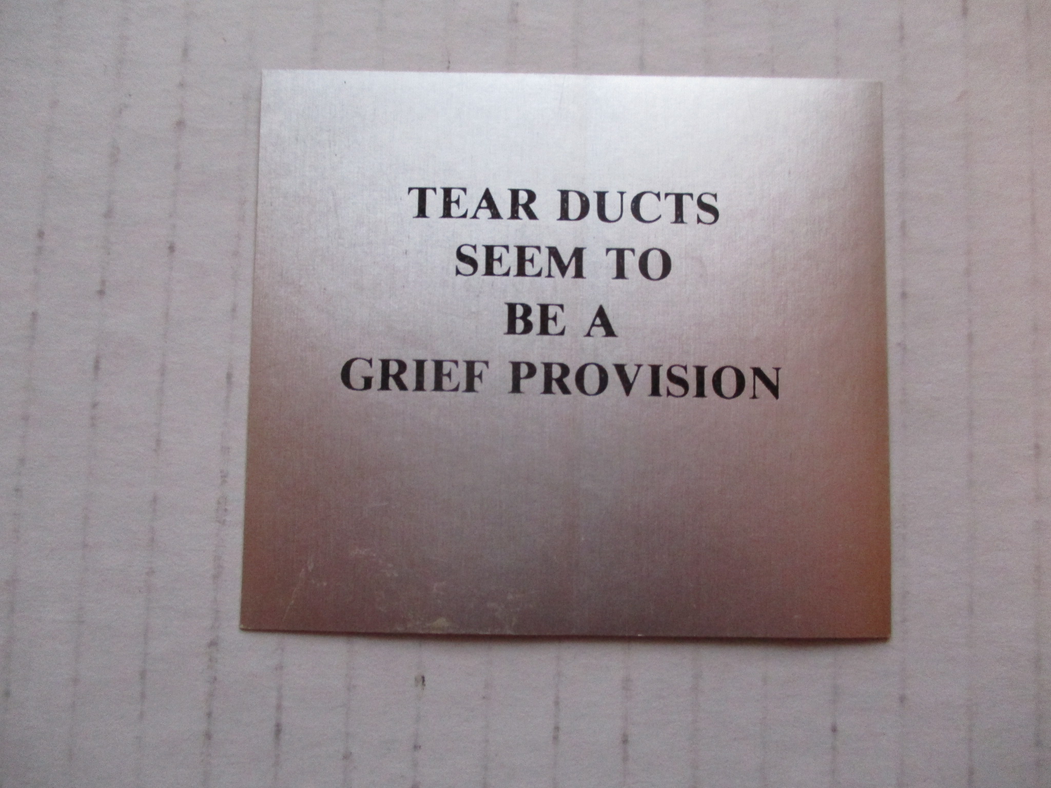Jenny Holzer sticker: Tear Ducts Seem to be a Grief Provision by Holzer ...
