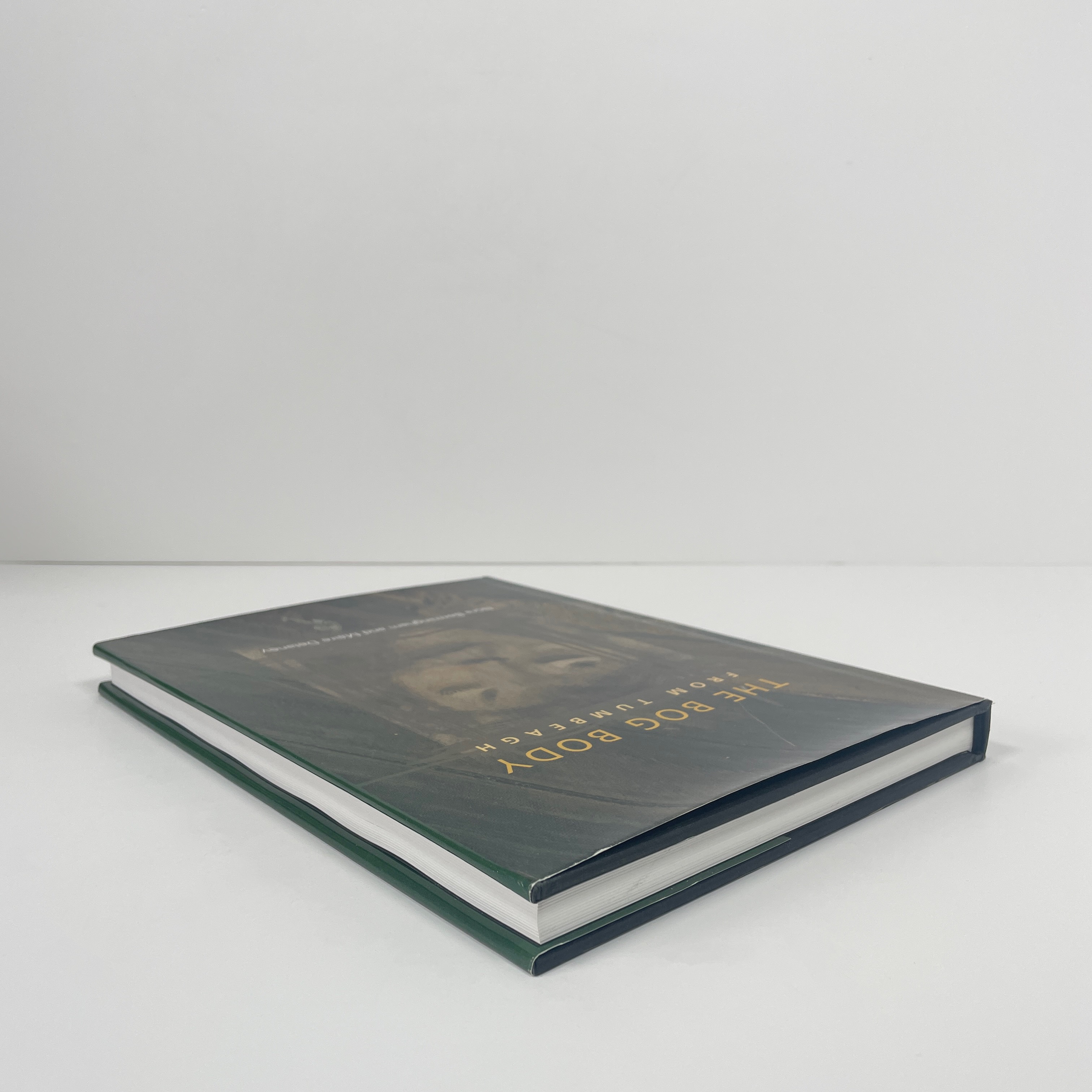 The Bog Body From Tumbeagh by Bermingham, Nora; Delaney, Maire: Near ...