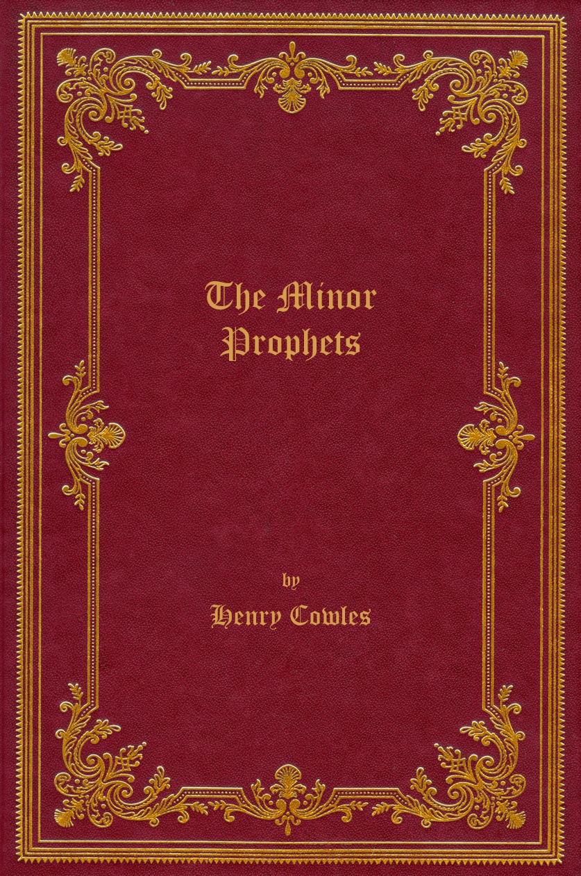 The Minor Prophets, 1874 von Cowles, Henry: New Hardcover | Rebooker