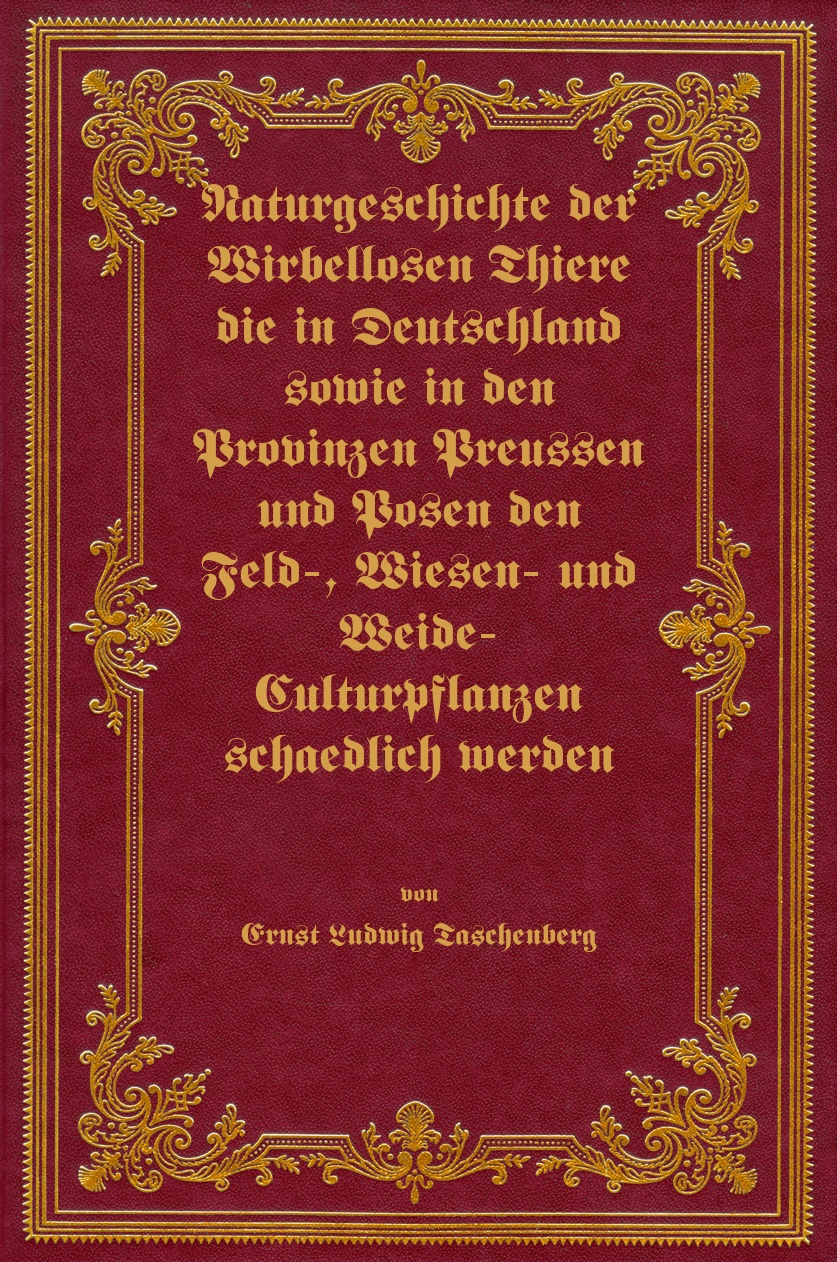 Naturgeschichte der Wirbellosen Thiere die in Deutschland sowie in den ...