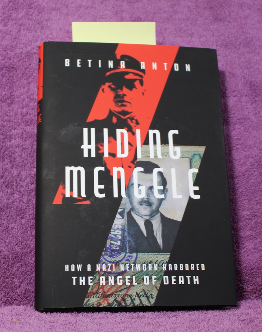 Hiding Mengele: How a Nazi Network Harbored the Angel of Death by Anton ...