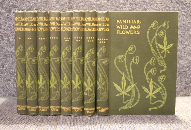 Familiar Wild Flowers 8 Series (volumes) by Hulme, F. Edward: Very Good Hardcover (1890) First ...