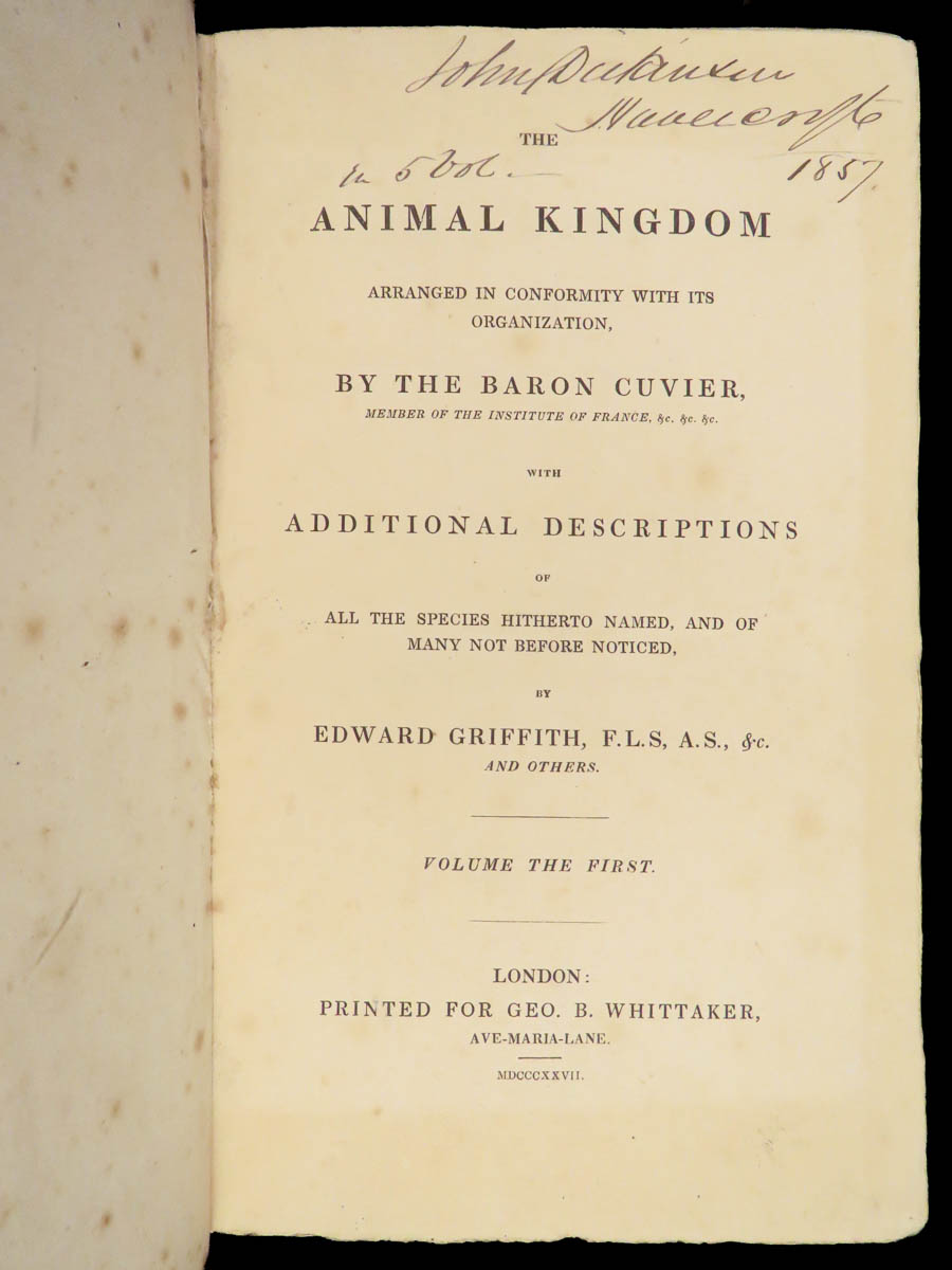 The Animal Kingdom : arranged in conformity with its organization by ...