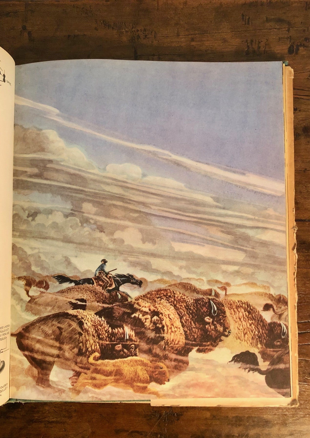 Tree in the Trail by HOLLING, Holling Clancy: Very Good+ Hardcover with ...